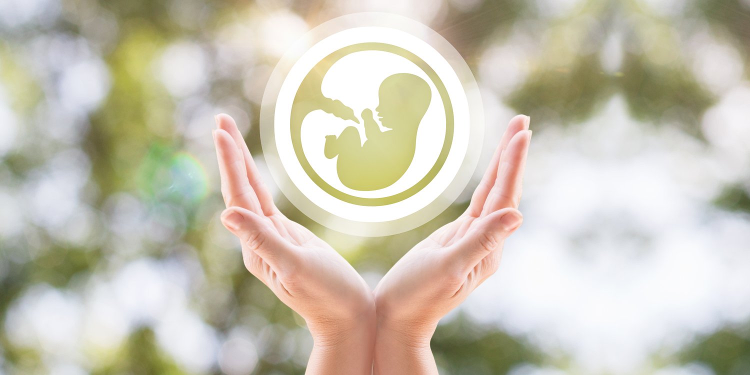 Female System Support – Advanced Nutrition by Zahler's